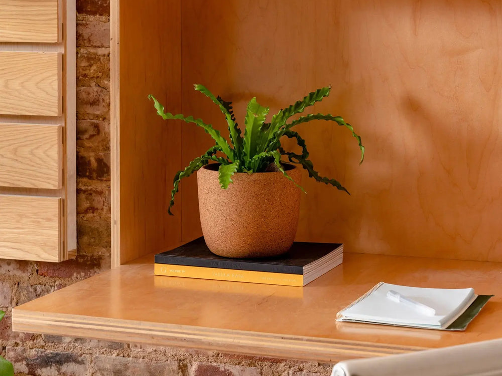 Elevate Your Workspace with Cloud Planter and Cloud Tray – Blankspace