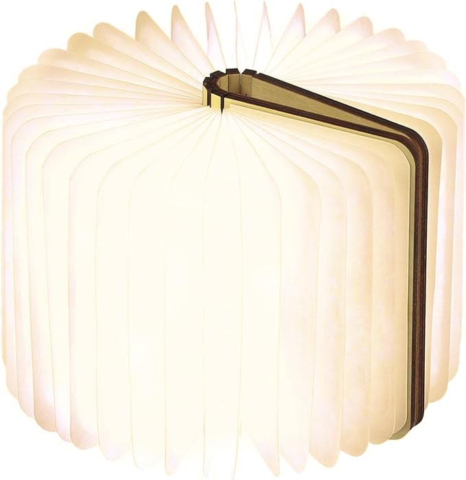 Gingko Smart Book Light – Blankspace